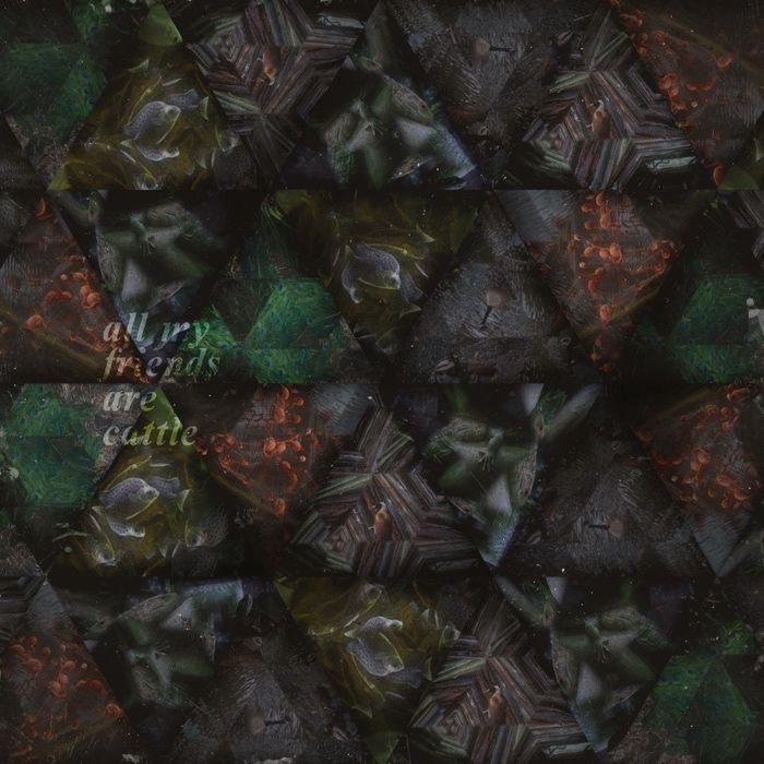 GOOSEBERRY NOS MUESTRA SU NUEVO SINGLE “BITTER” - revistaindie.com